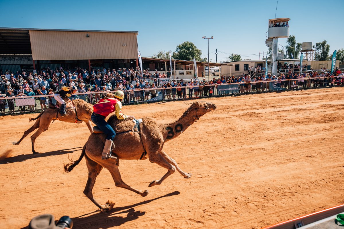 Outback Queensland 7 reasons you need to put the Boulia Camel Races on ...
