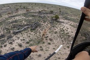 Outback Queensland The ultimate guide to Station Stays in Outback ...