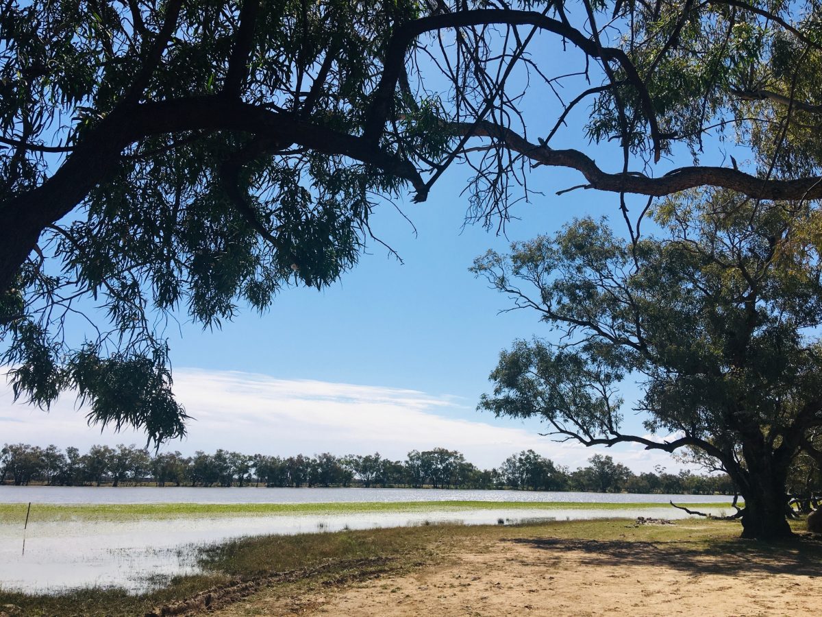Outback Queensland Seven Farm Stay Stations for Families in Outback ...
