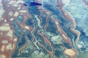 Outback Queensland 10 things you didn’t know about the Channel Country ...
