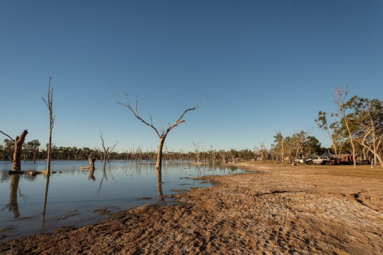 Outback Queensland 8 Things To Do In Barcaldine - Outback Queensland