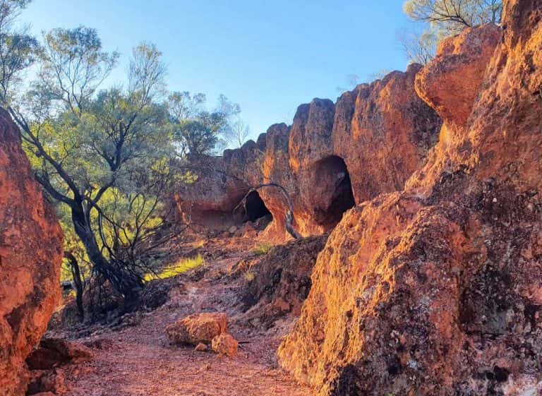 Outback Queensland 6 New Things to See and Do in Charleville - Outback ...