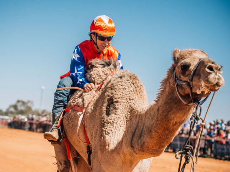 Outback Queensland 7 tips to plan your ultimate trip to Boulia Camel ...