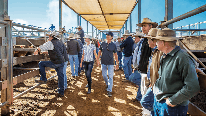 Outback Queensland Roma - Outback Queensland
