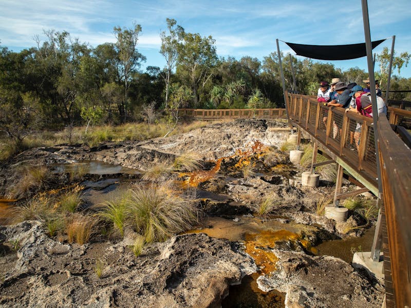 Outback Queensland Talaroo Hot Springs Tours - Outback Queensland