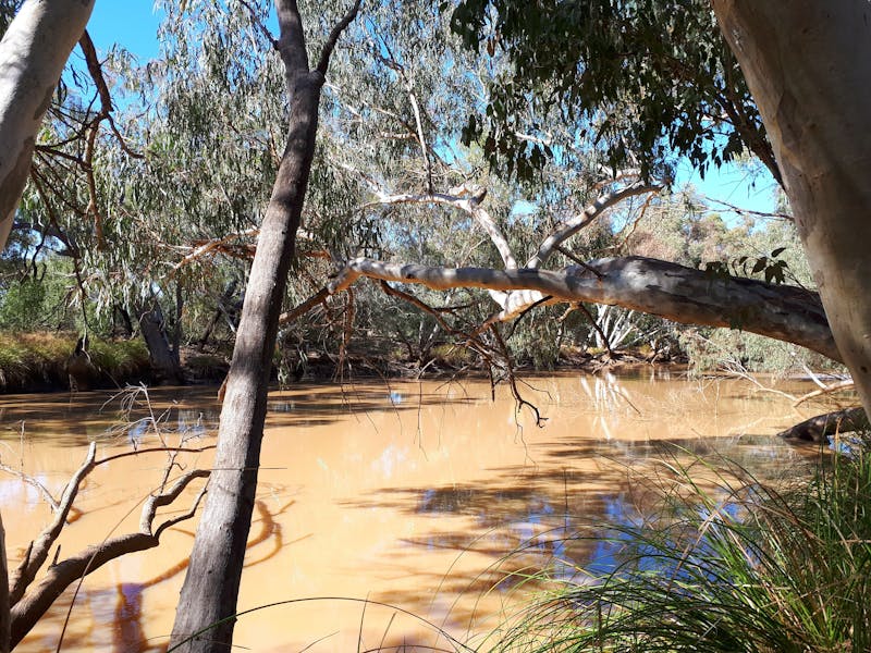 Outback Queensland Dreamtime Walk, Bollon - Outback Queensland
